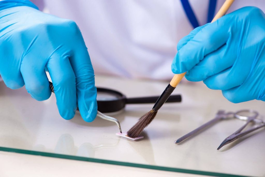 cell phone forensic recovery service | Security Guard Company ...